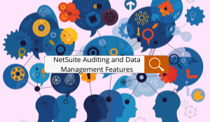 NetSuite Auditing and Data Management Features
